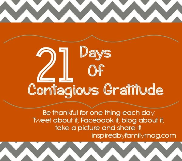 21 Days of Gratitude - A Challenge for the Whole Family - Inspired by ...