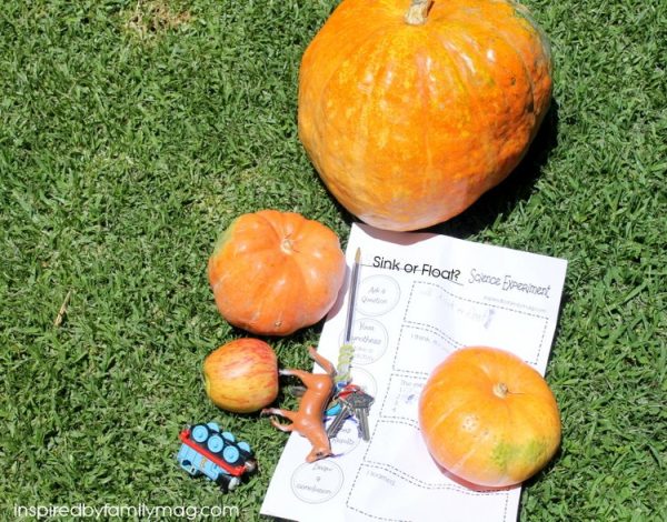 Pumpkin Science Experiment: Sink or Float?