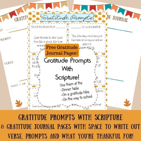 Gratitude Prompts Family Activity